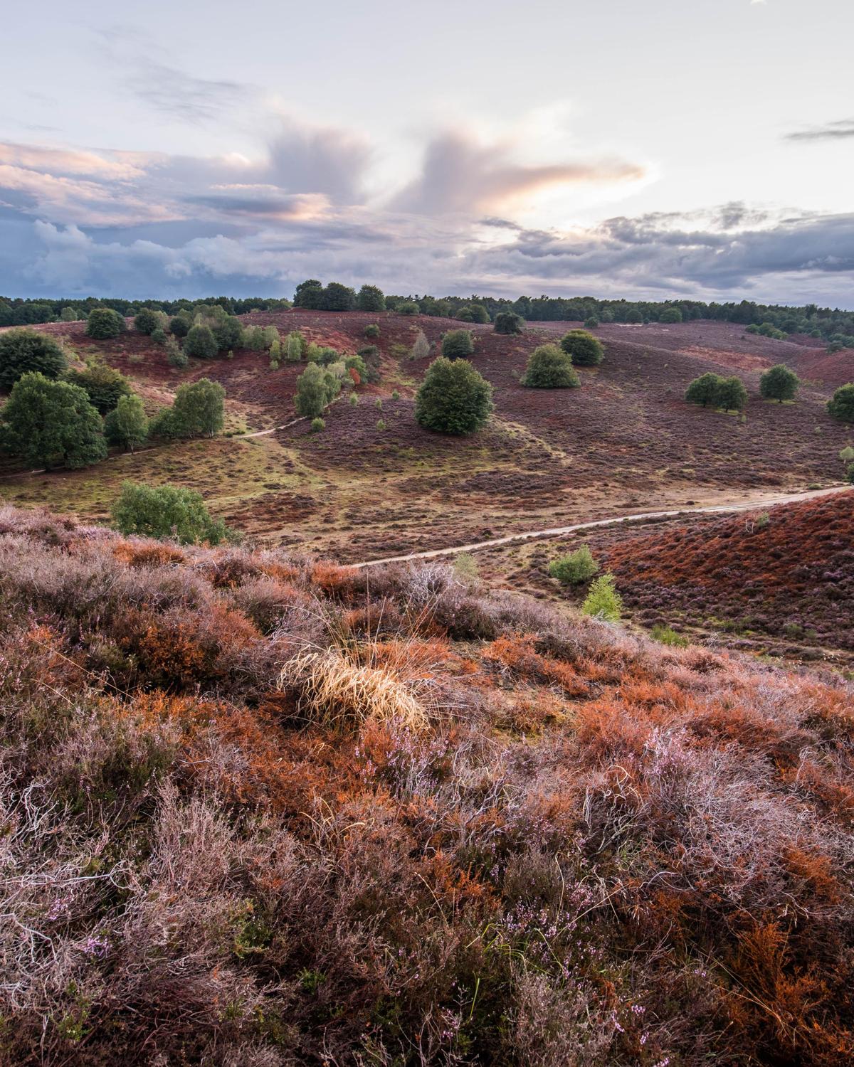 Landal Rabbit Hill - Ferienparkguide